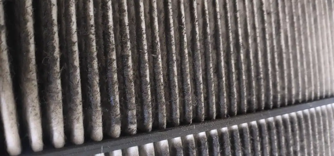 What Is a HEPA Filter Mainly Used For?